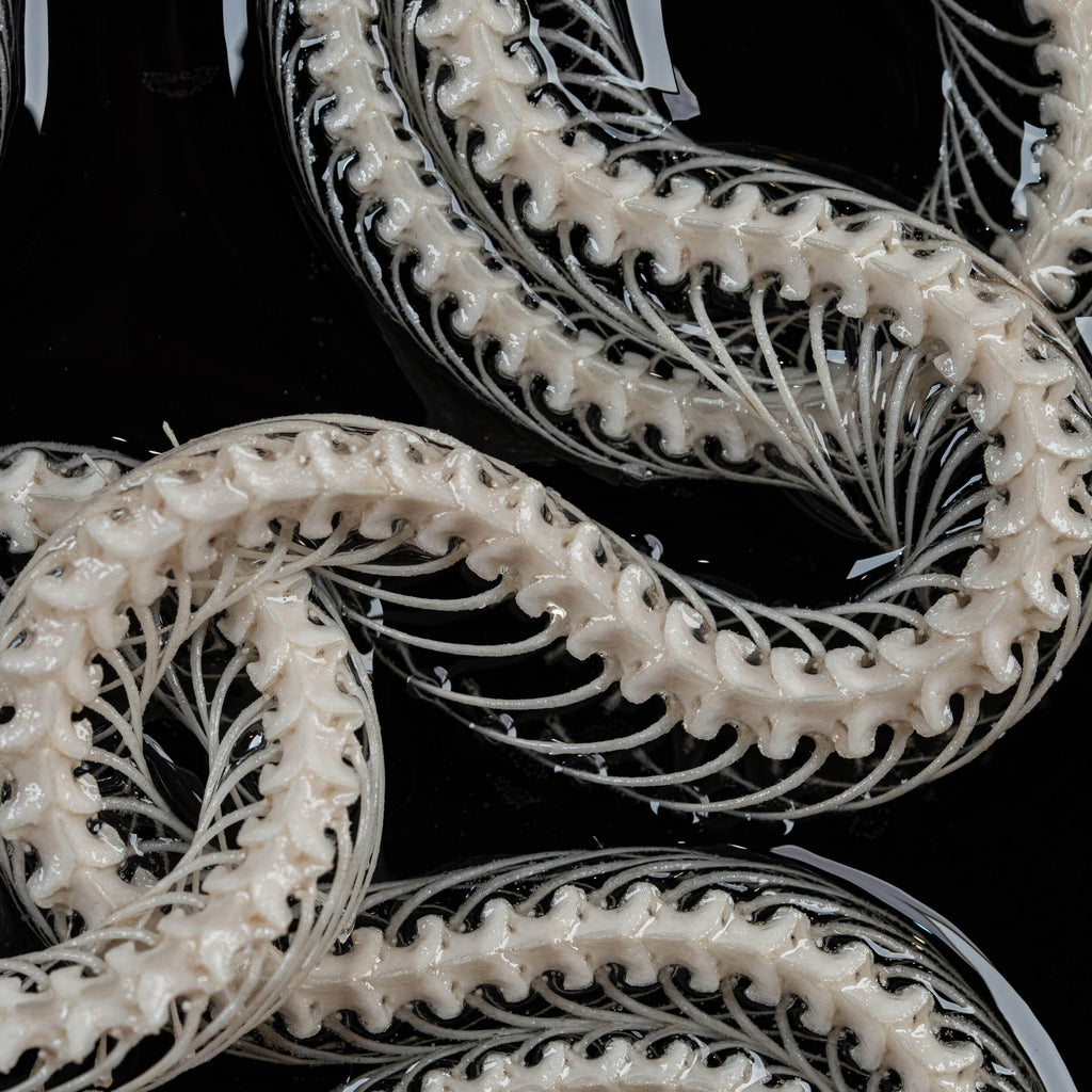 Real Snake skeleton taxidermy, Caduceus symbol on Vintage Frame – Duy ...