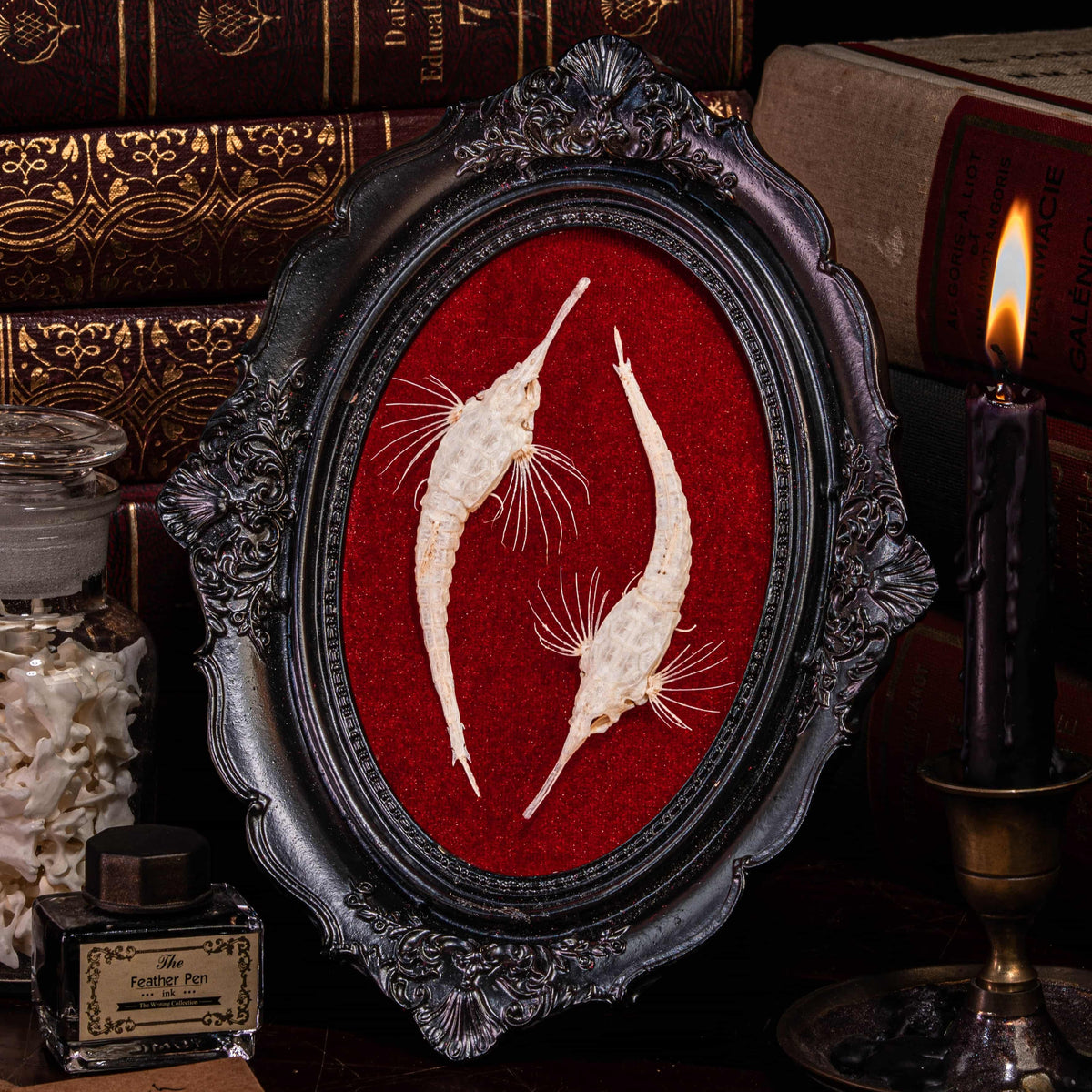 Real Dual Long Tail Seamoth Red Velvet Black Victorian Frame – Duy Ng ...