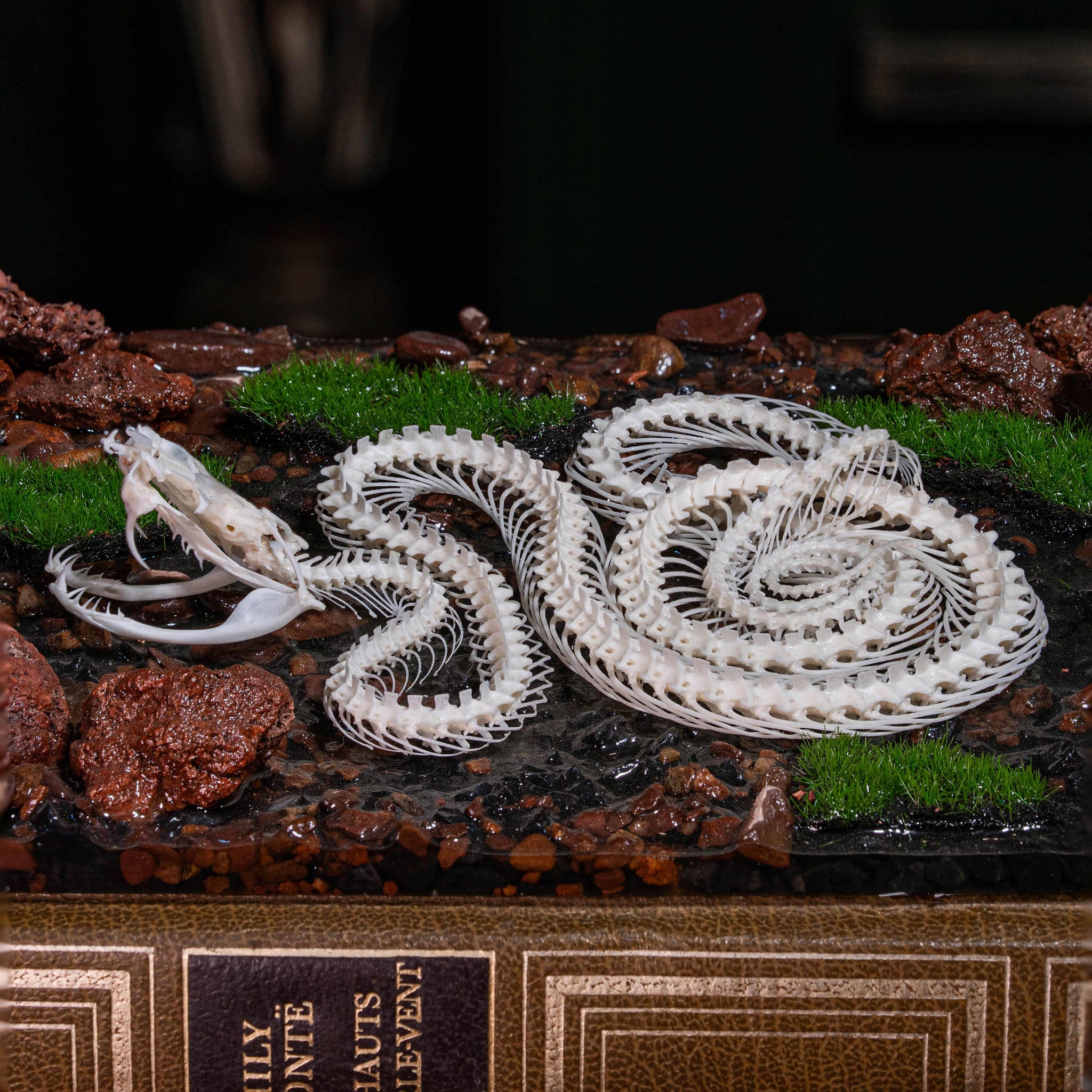 skeleton snake viper