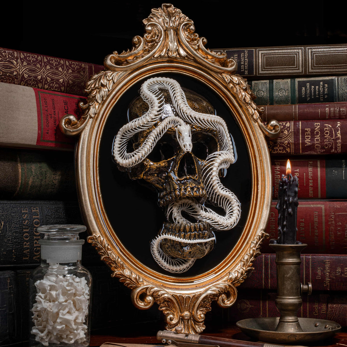 Snake skeleton taxidermy on Gothic frame, with human skull on wall pla ...