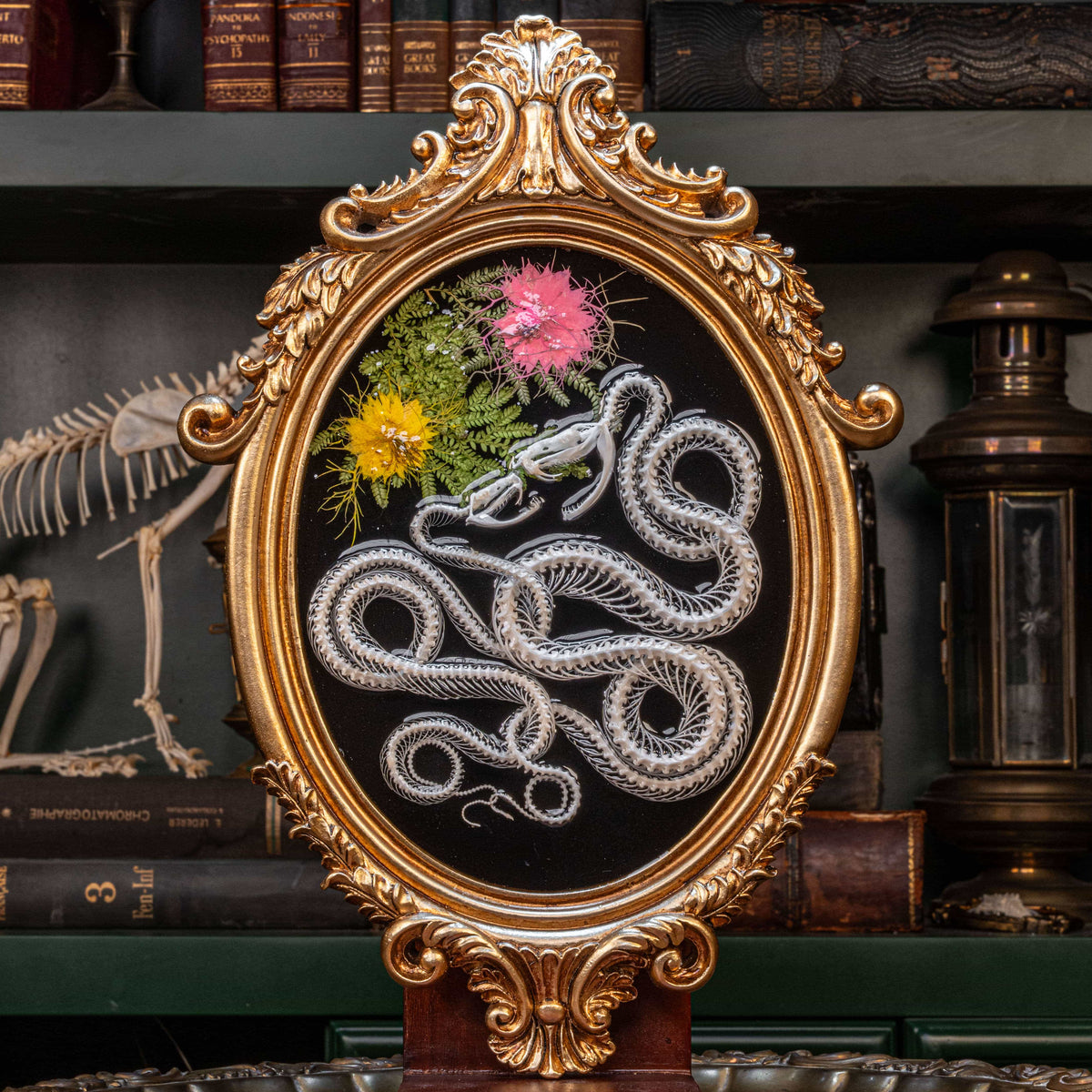 Caduceus Viper Snake Skeleton Taxidermy with Floral Accents on Frame ...